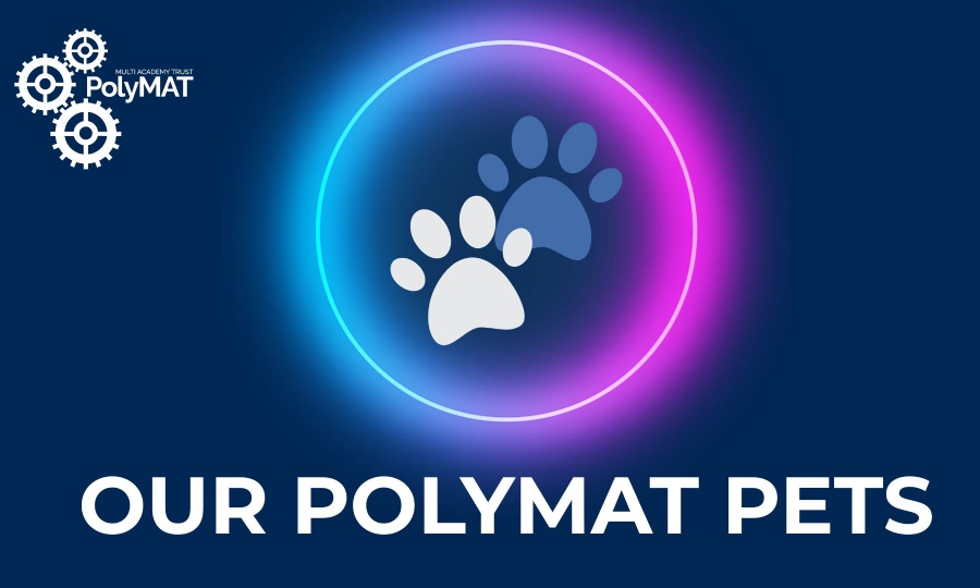 Poly MAT - Celebrating National Pet Month 2025: Our PolyMAT Pets!